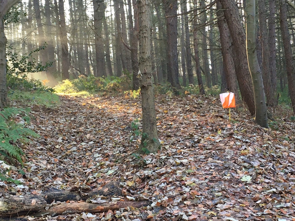 Cleveland Orienteering Klub